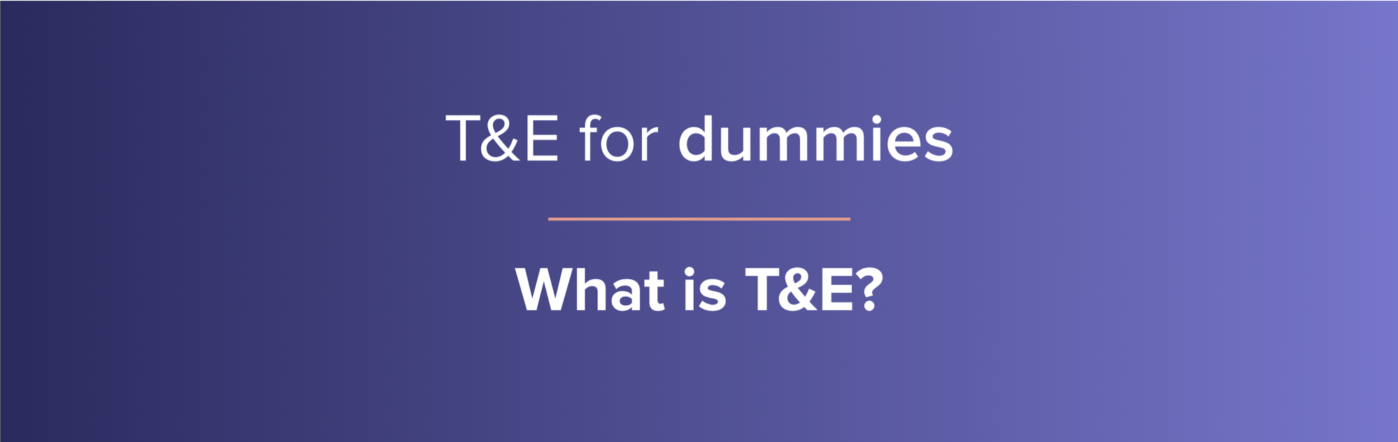 What is T&E? - Rydoo